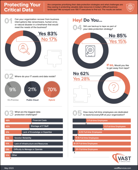 Protecting Your Critical Data Infographic - VAST